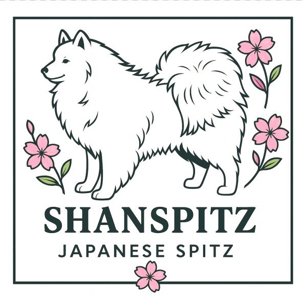 Home - Shanspitz Kennels Japanese Spitz